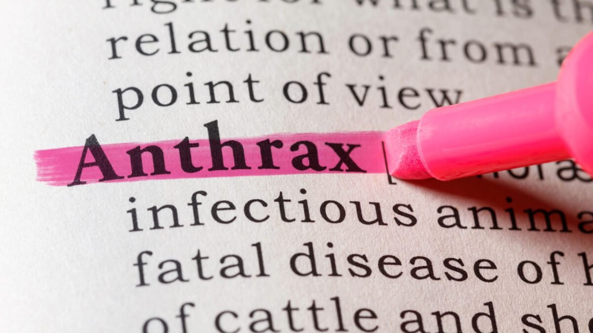 Testing for Anthrax in the Environment: A Comprehensive Guide - AdVnt ...
